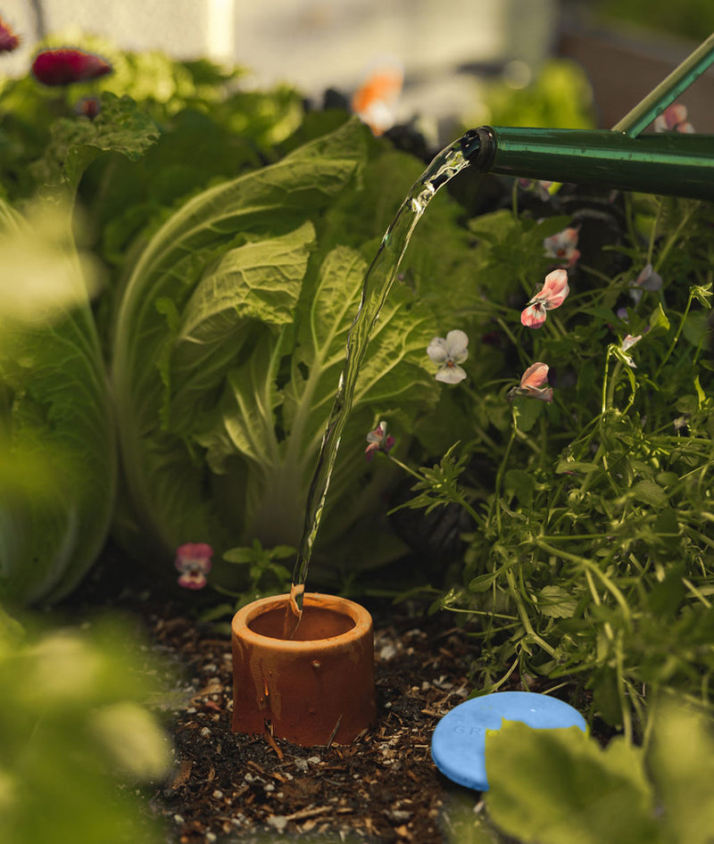 GrowOya - Save time watering your garden