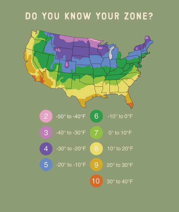Discover Your Planting Zone