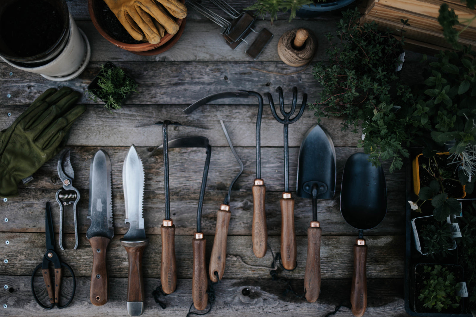 GrowOya - Save time watering your garden