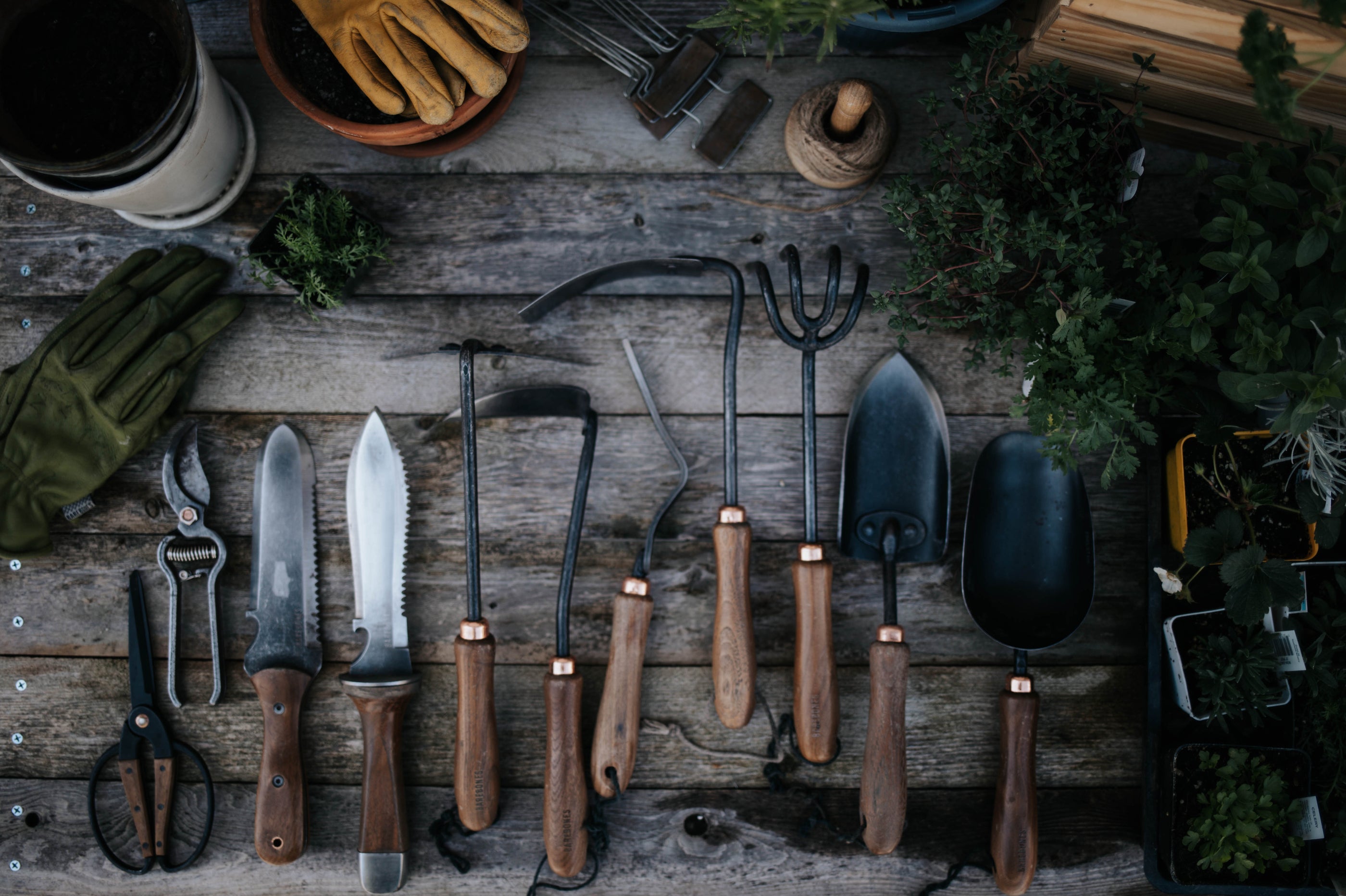 GrowOya - Save time watering your garden