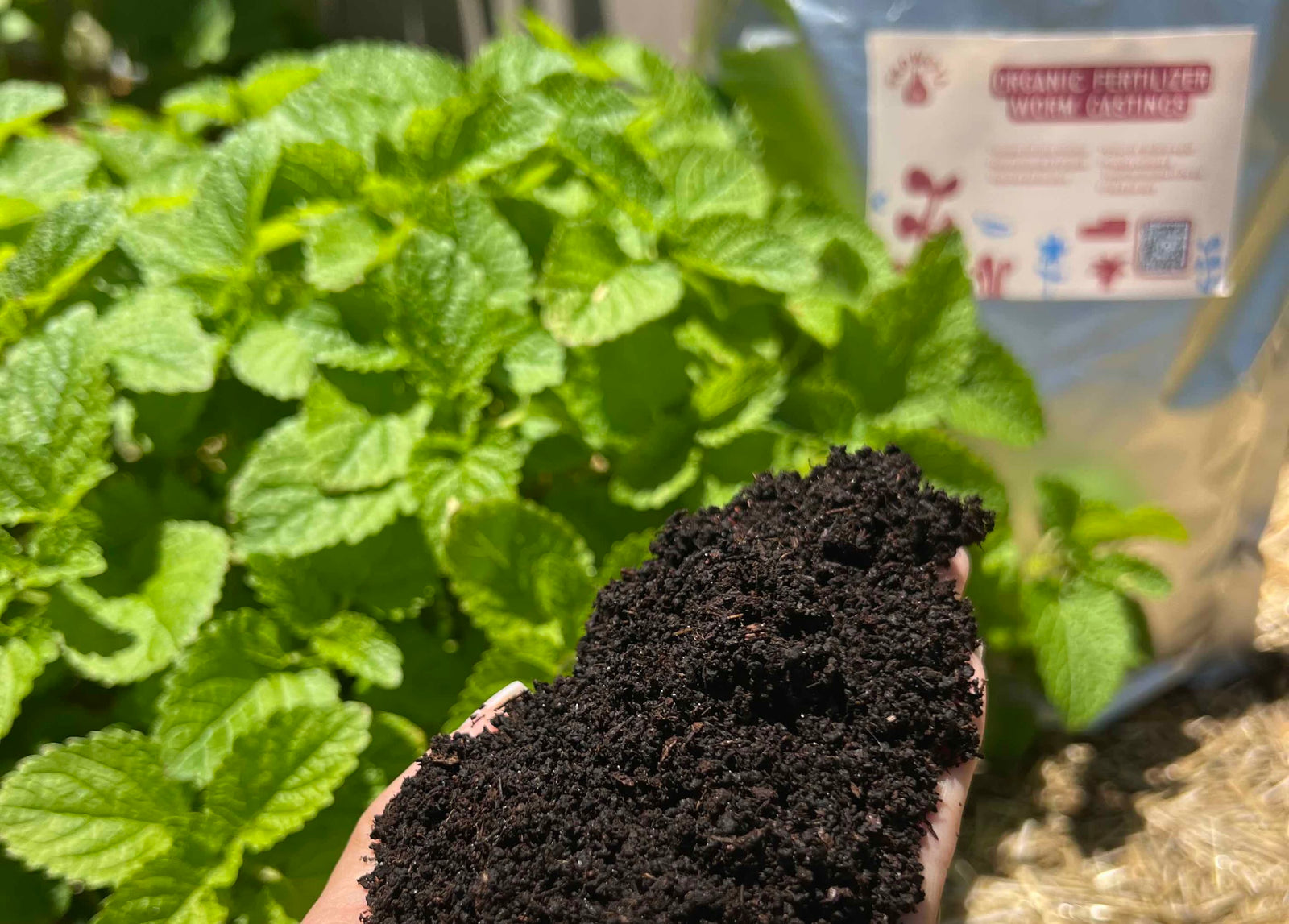 GrowOya - Save time watering your garden