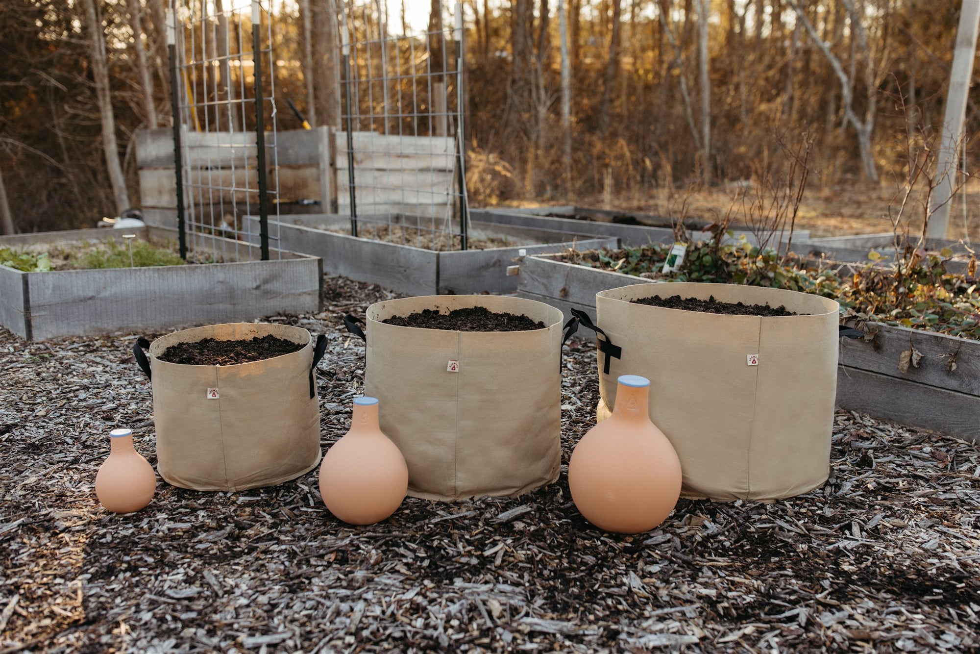 GrowOya - Save time watering your garden