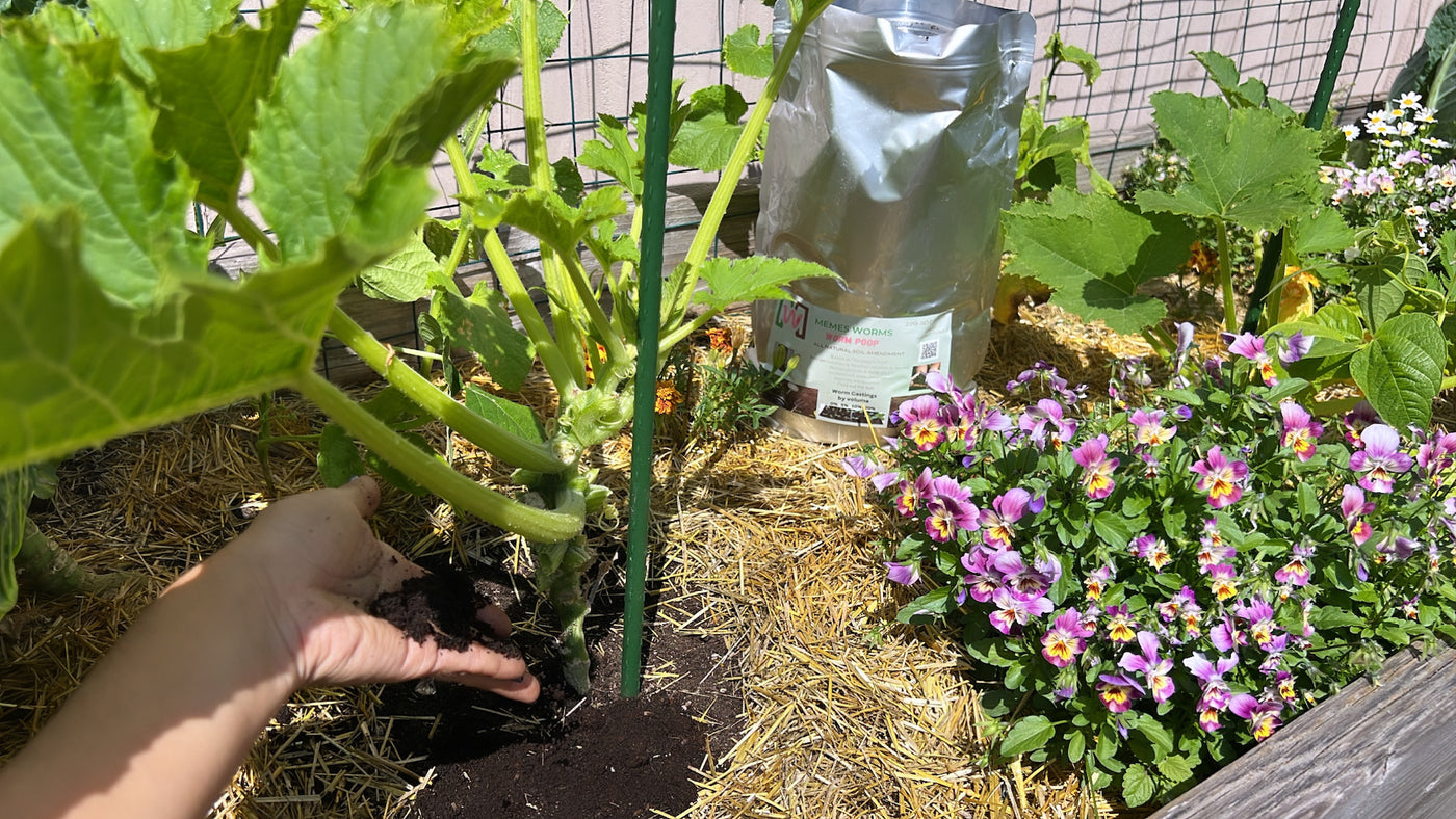 GrowOya - Save time watering your garden