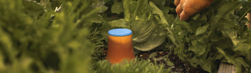 Garden Oya™ Watering Pot